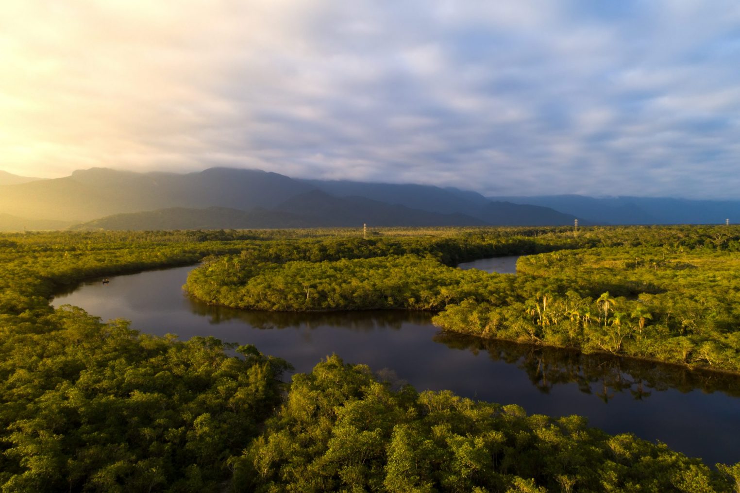 Conhecendo a Amazônia – Nosso Amiguinho